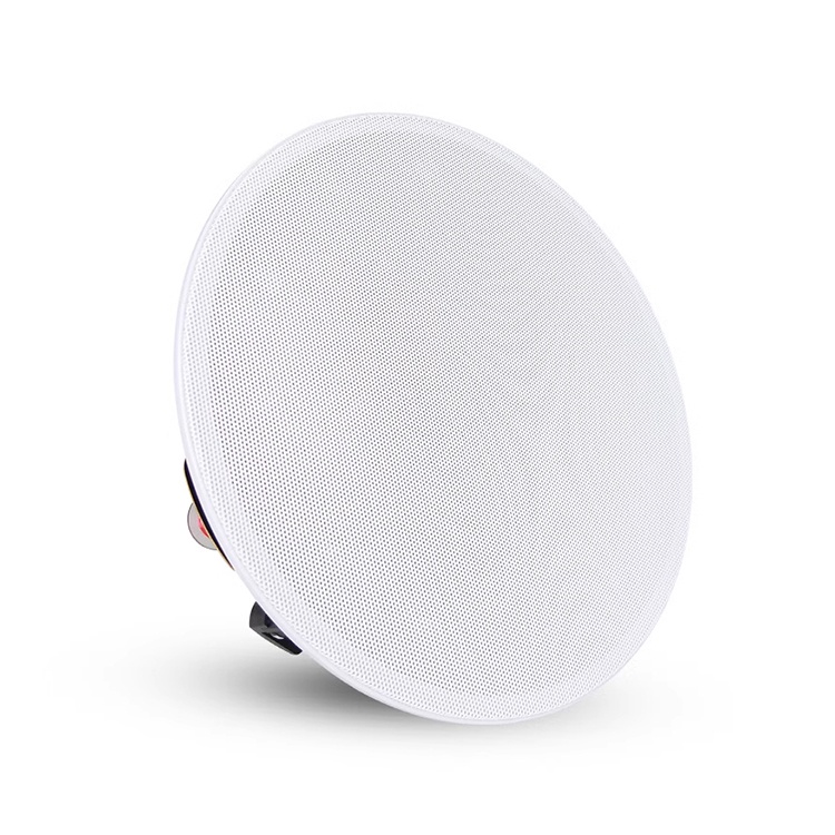 6inch In-Ceiling Speakers