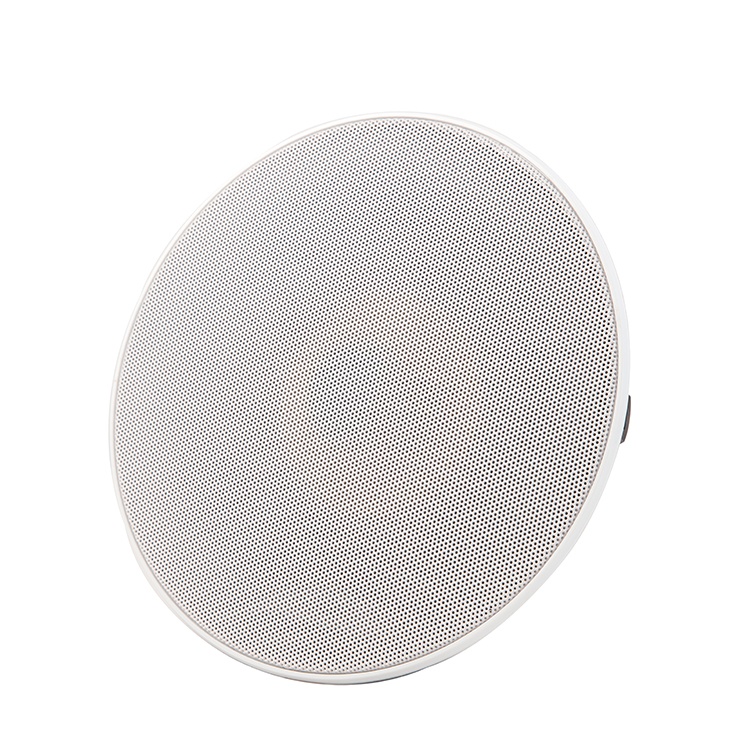 Home Theater Ceiling Speakers / Commercial Ceiling Speakers /Outdoor ...